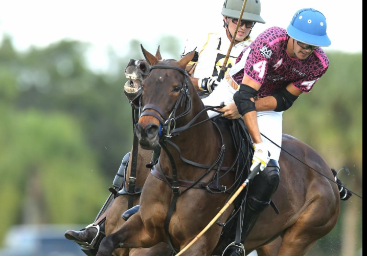 Joe Barry - Day 1 - Hurlingham Polo