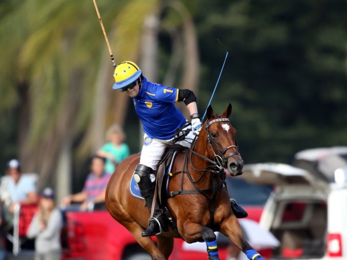 Home - Hurlingham Polo Club, Polo Team, Polo Game, Polo Magazine