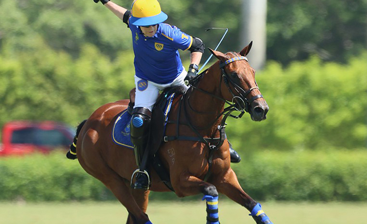U.S. Open Polo Championship® – Day 18 - Hurlingham Polo