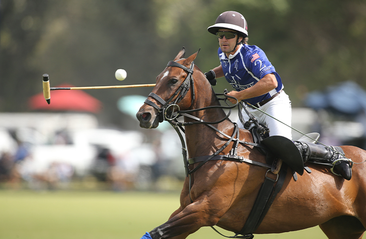 U.S. Open Polo Championship® - Day 8 - Hurlingham Polo