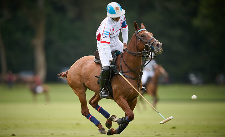 British Open Polo Championship for the Cowdray Gold Cup – Day 14 ...