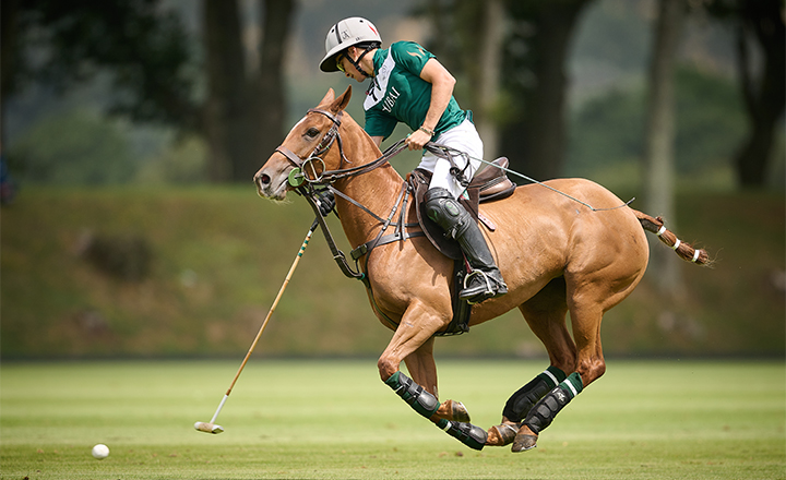 British Open Polo Championship for the Cowdray Gold Cup – Quarterfinals ...