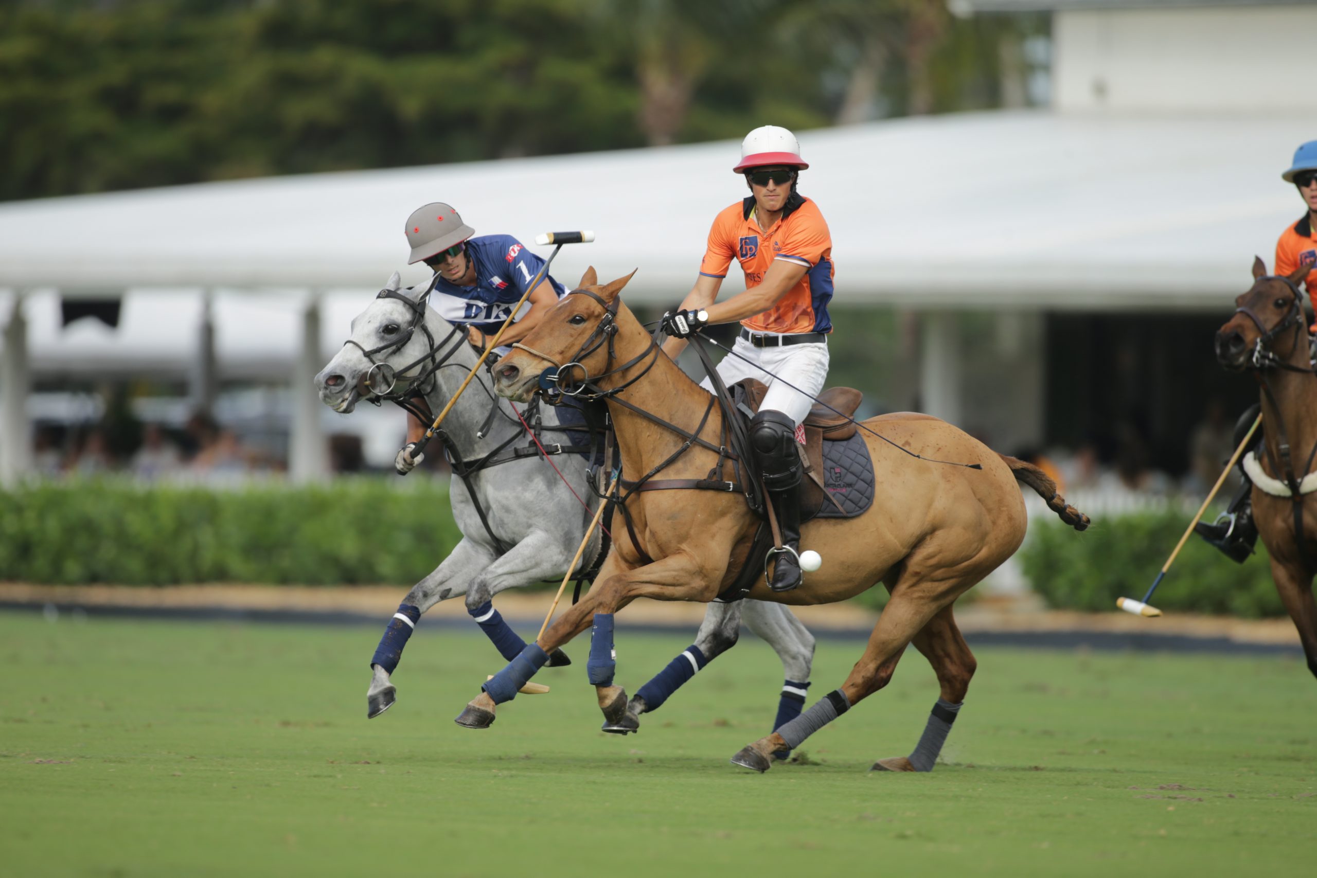 JOE BARRY MEMORIAL FINAL - Hurlingham Polo