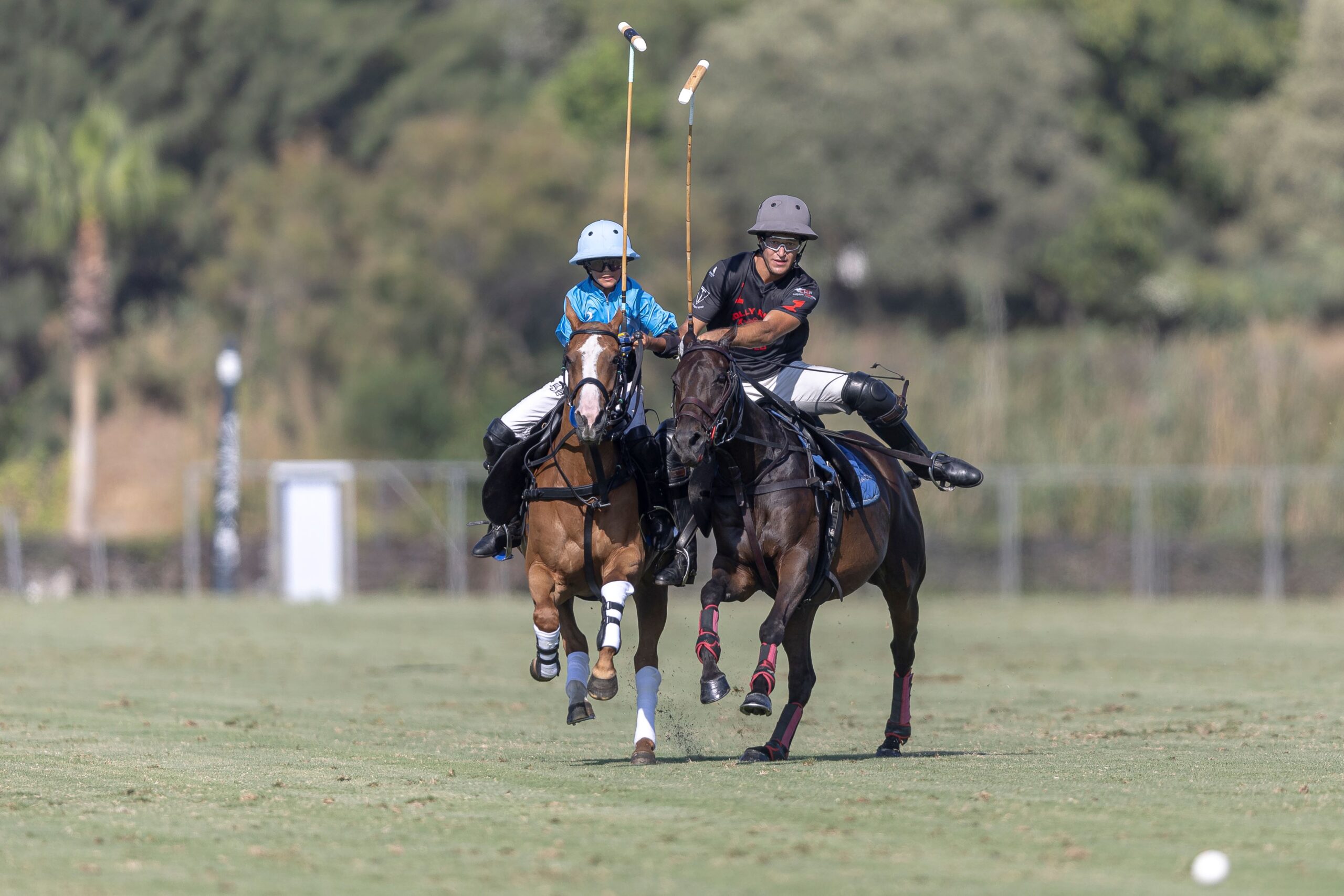 VICTORY FOR AMANARA AND ELECTRIC POLO IN THE TERRALPA SILVER CUP MEDIUM ...