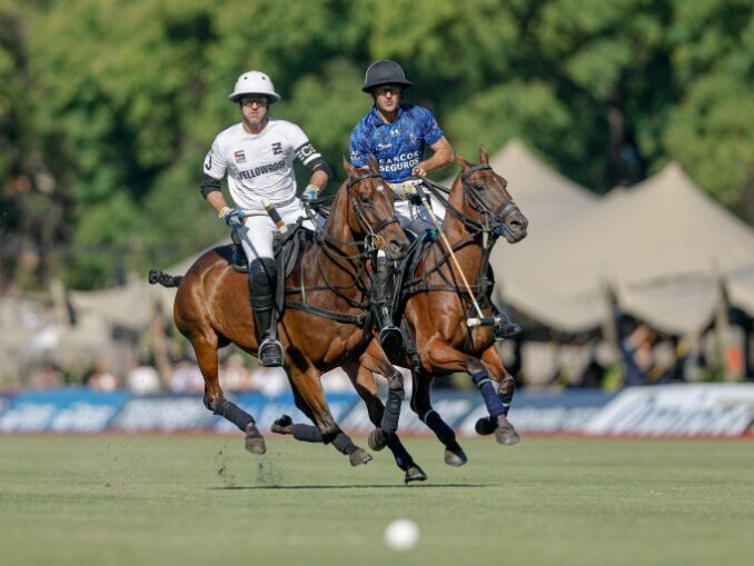 Home - Hurlingham Polo Club, Polo Team, Polo Game, Polo Magazine