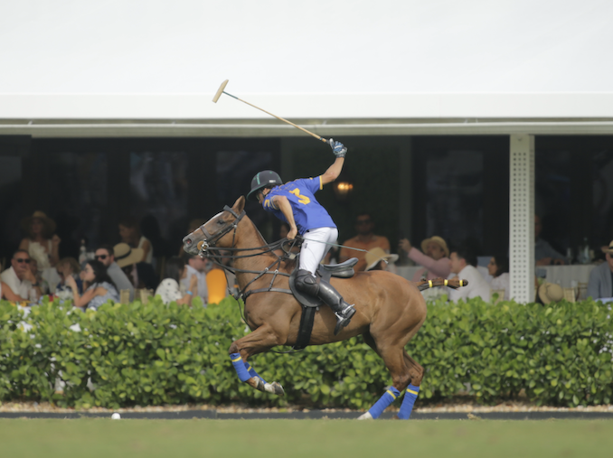 Home - Hurlingham Polo Club, Polo Team, Polo Game, Polo Magazine
