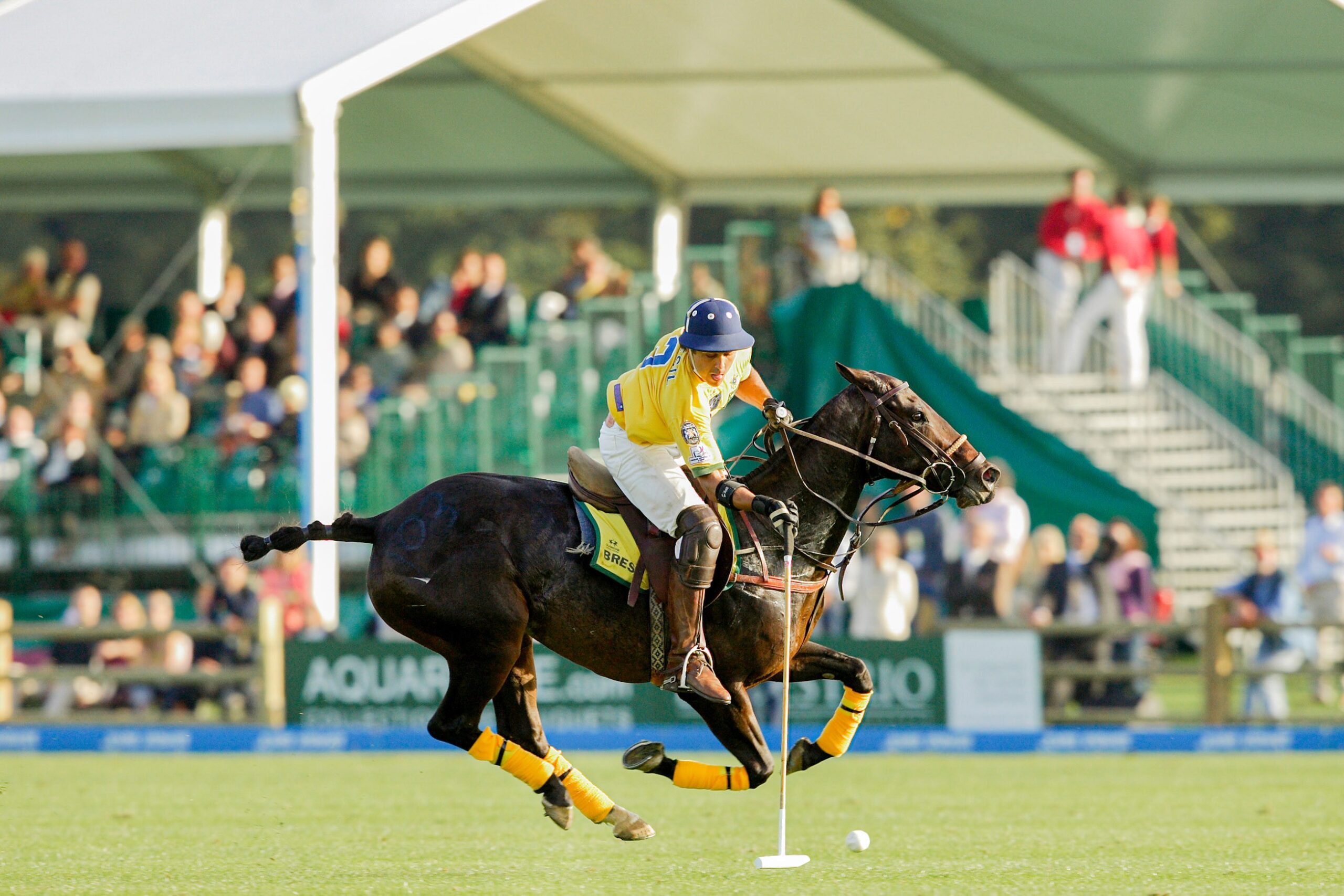 France vs Brazil: Twenty years later.. - Hurlingham Polo