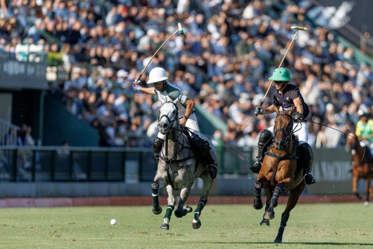 Argentine Open Resumes Today - Hurlingham Polo